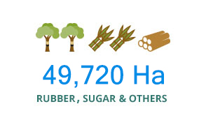 IndoAgri :: Our Business